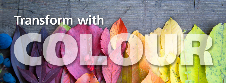 Transforme com cores - KatunKatun